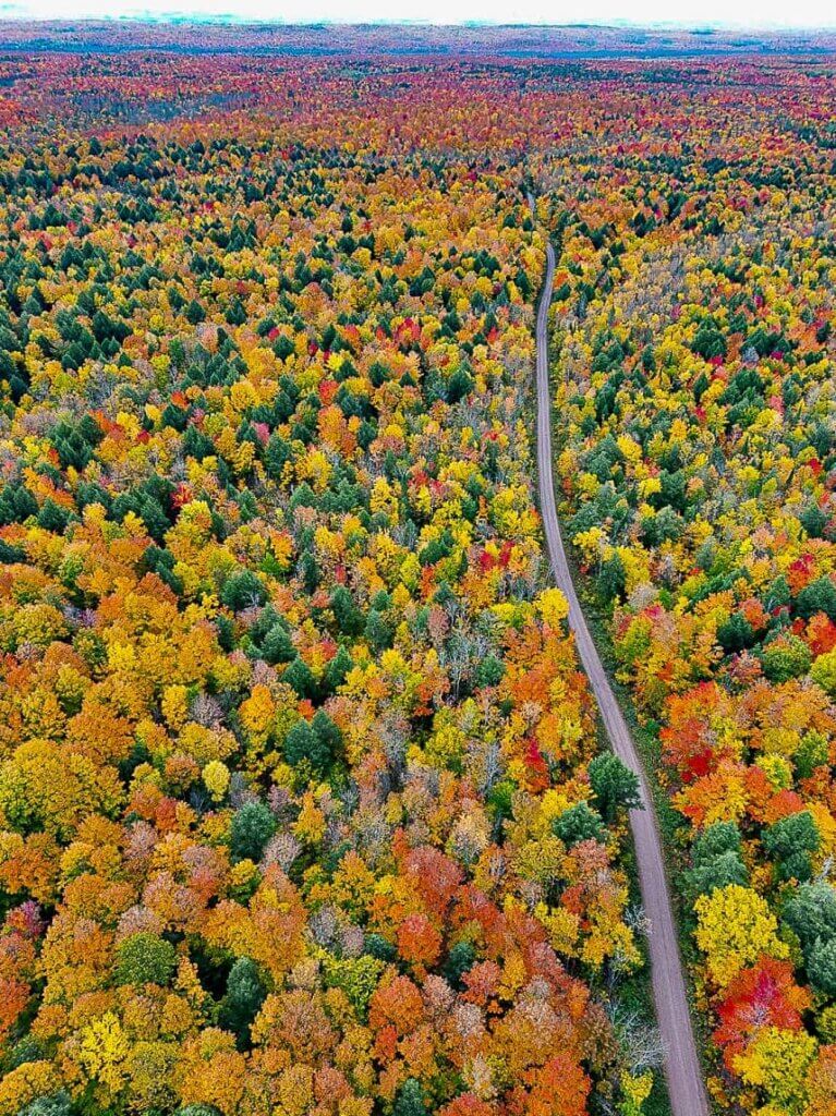 Unlocking the Science of Fall Colors in Michigan's Upper Peninsula ...